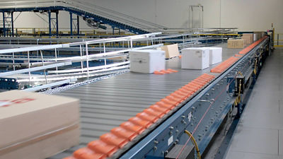 Container Store Convey and Sort System