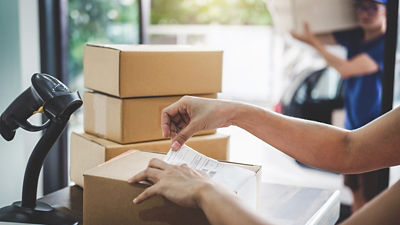 Automated Parcel Sorting & Processing Solutions